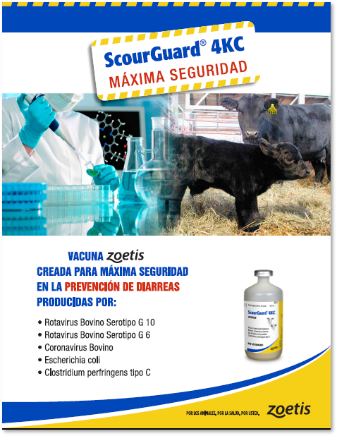 Scourguard 4KC | Zoetis CL